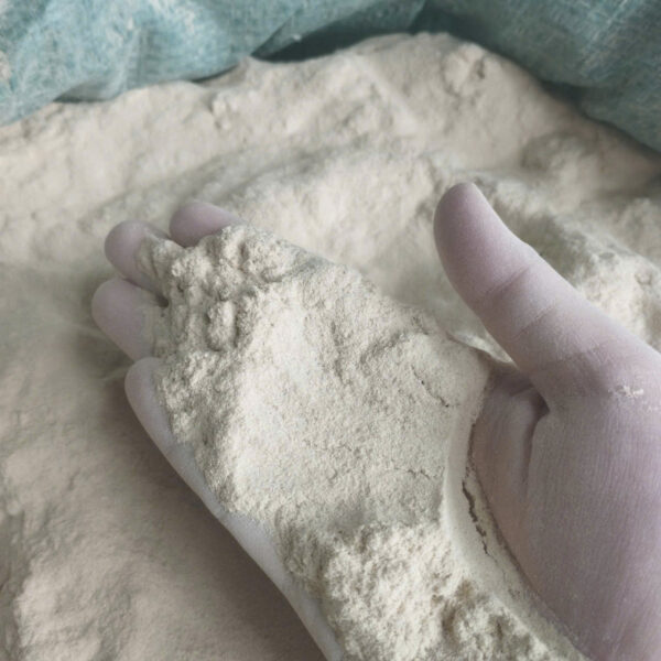 White wooden powder - Manufacturer and supplier Vietnam wood powder ...